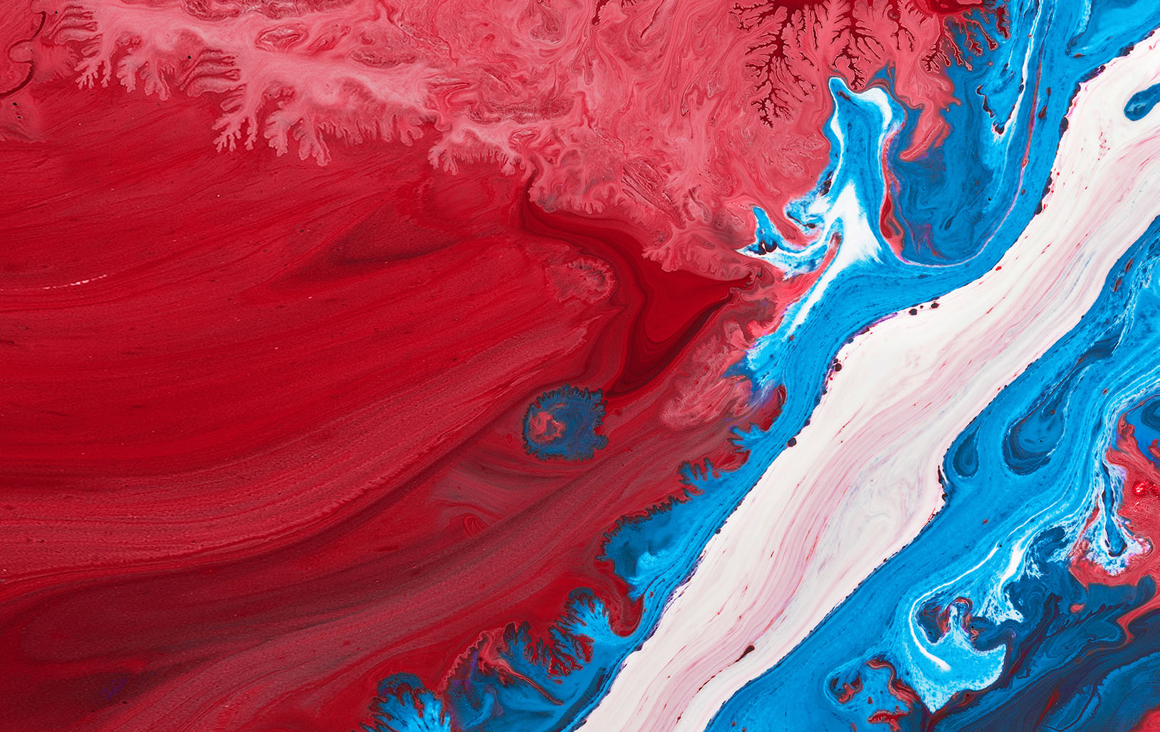 MESAMOLL - Lanxess | IMCD United States